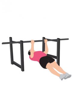 Progresiones y regresiones de remos renegados. Como hacerlo?